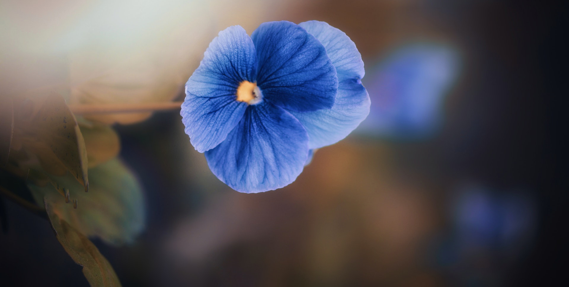 The Spirit of Service - Tejpal Inspires