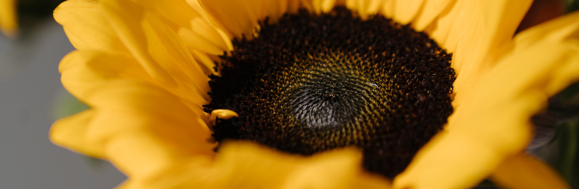 Creativity - Tejpal Inspires